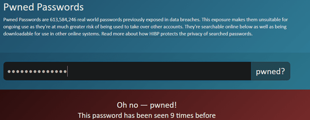 A Guide to Staying Safe and Anonymous for Women