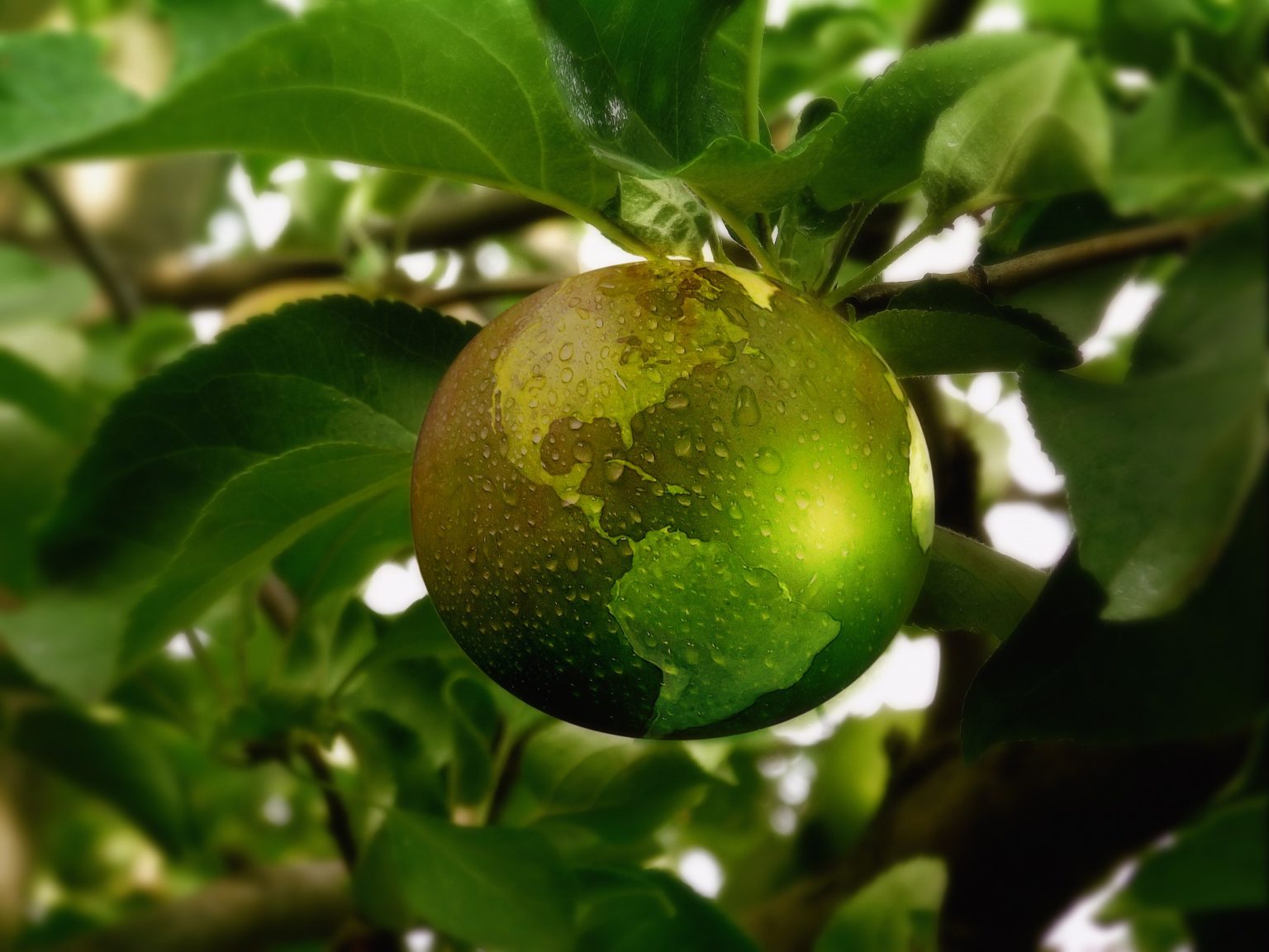 three-things-supporting-hp-s-leadership-in-sustainability