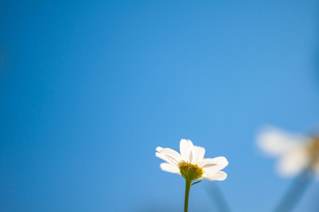 Why Simplicity Is The Path To Trust For Agentic AI