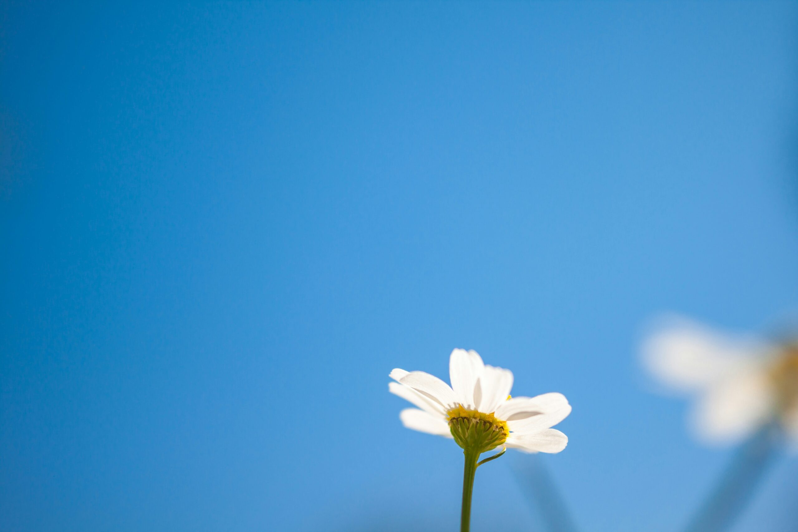 Why Simplicity Is The Path To Trust For Agentic AI